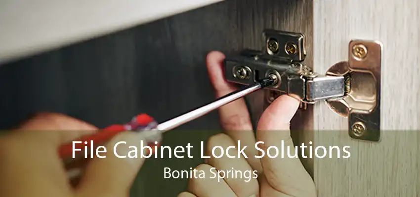 Types Of File Cabinet Locks | Cabinets Matttroy